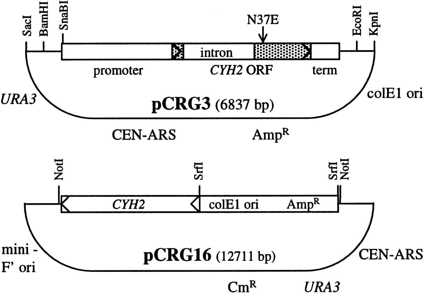 Linker-Mediated Recombinational Subcloning of Large DNA Fragments Using ...