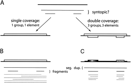 Automated De Novo Identification of Repeat Sequence Families in ...