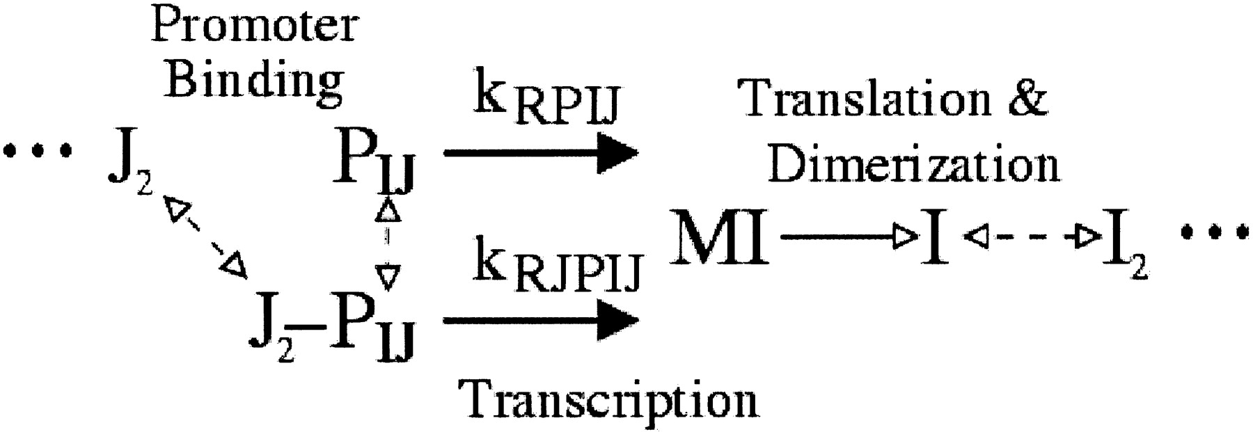 Importance of Input Perturbations and Stochastic Gene Expression in the ...
