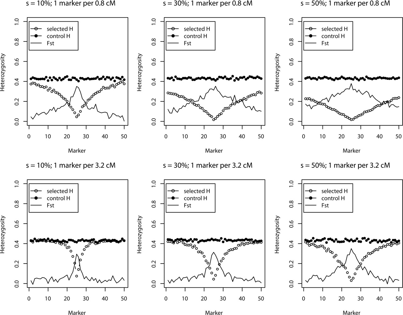 Selective sweep mapping of genes with large phenotypic effects