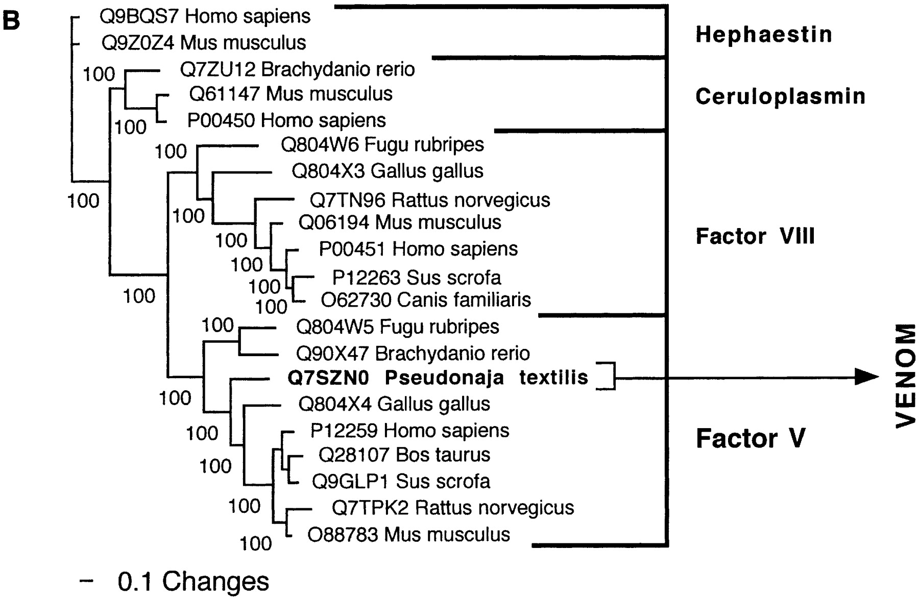 From genome to “venome”: Molecular origin and evolution of the snake ...