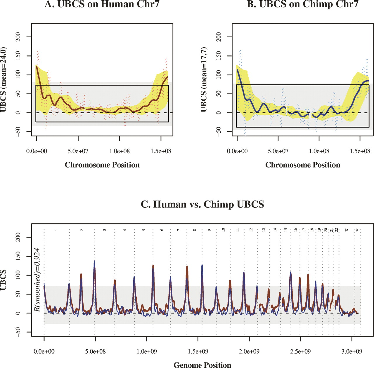 Biased clustered substitutions in the human genome: The footprints of ...