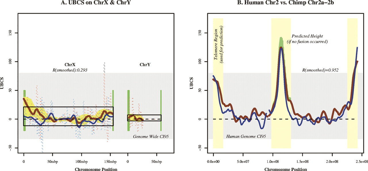 Biased clustered substitutions in the human genome: The footprints of ...