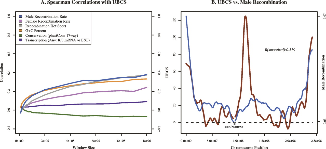 Biased clustered substitutions in the human genome: The footprints of ...
