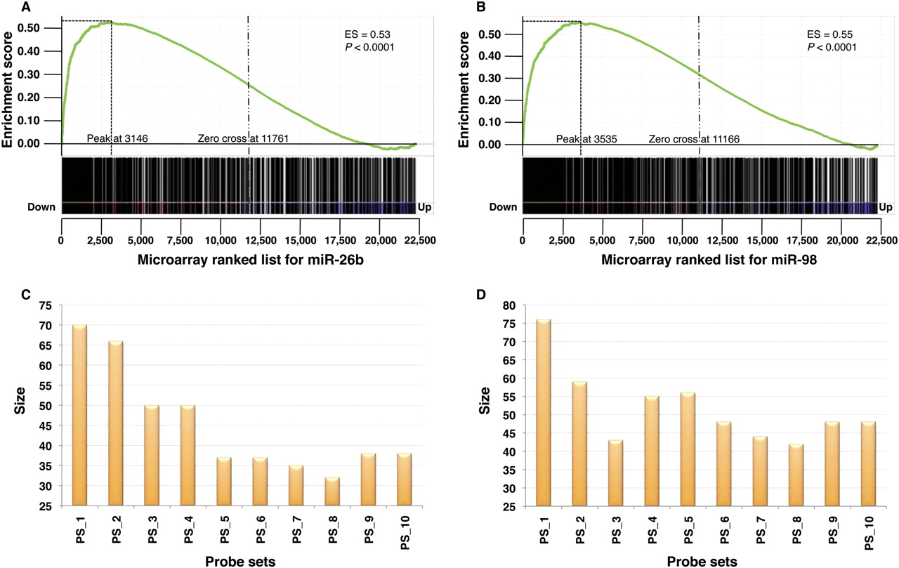 MicroRNA target prediction by expression analysis of host genes