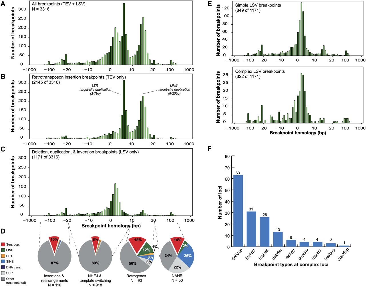 Genome-wide mapping and assembly of structural variant breakpoints in ...