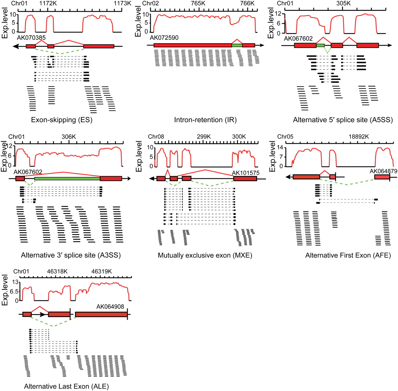 Deep RNA sequencing at single base-pair resolution reveals high ...