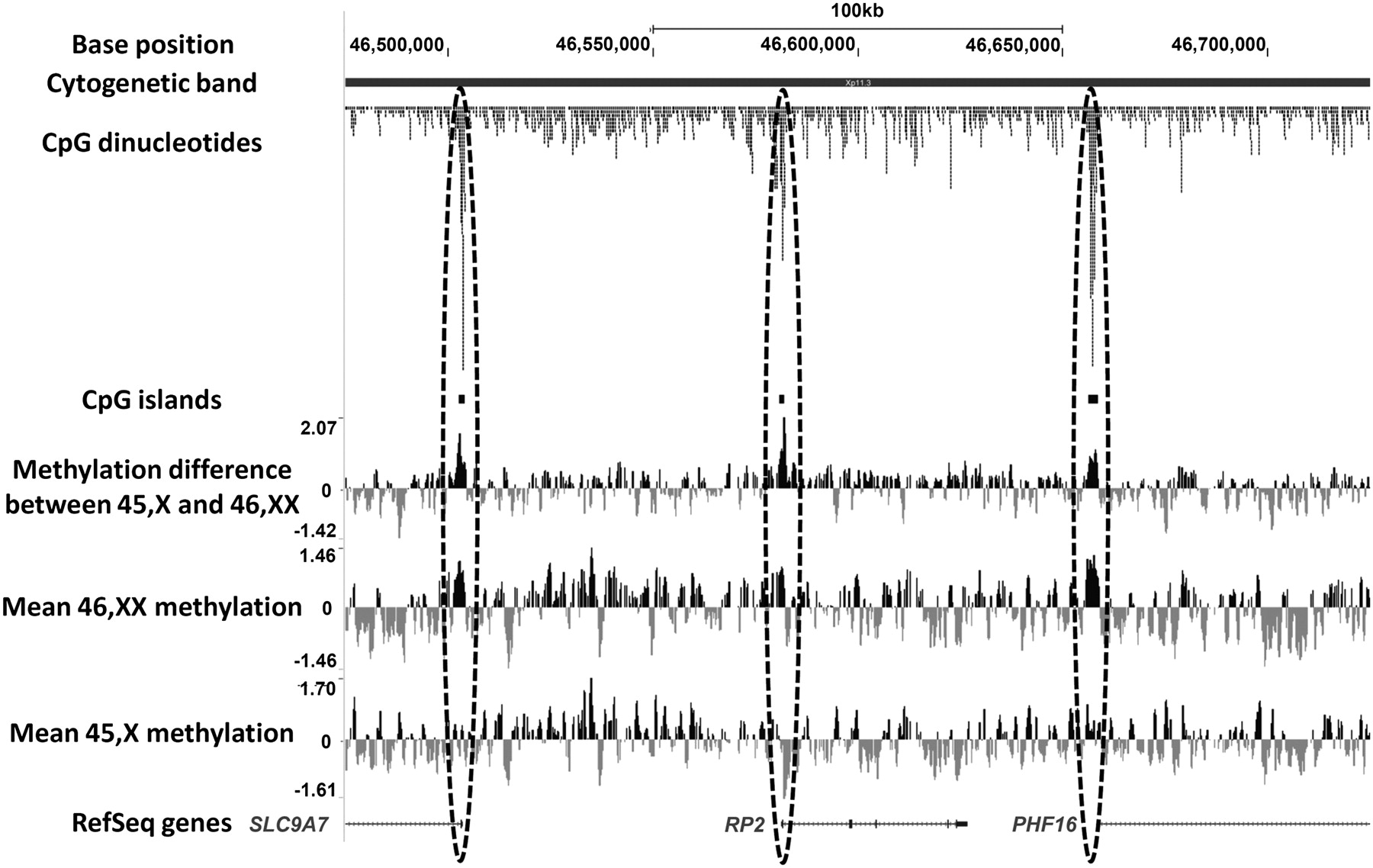 DNA methylation profiles of human active and inactive X chromosomes