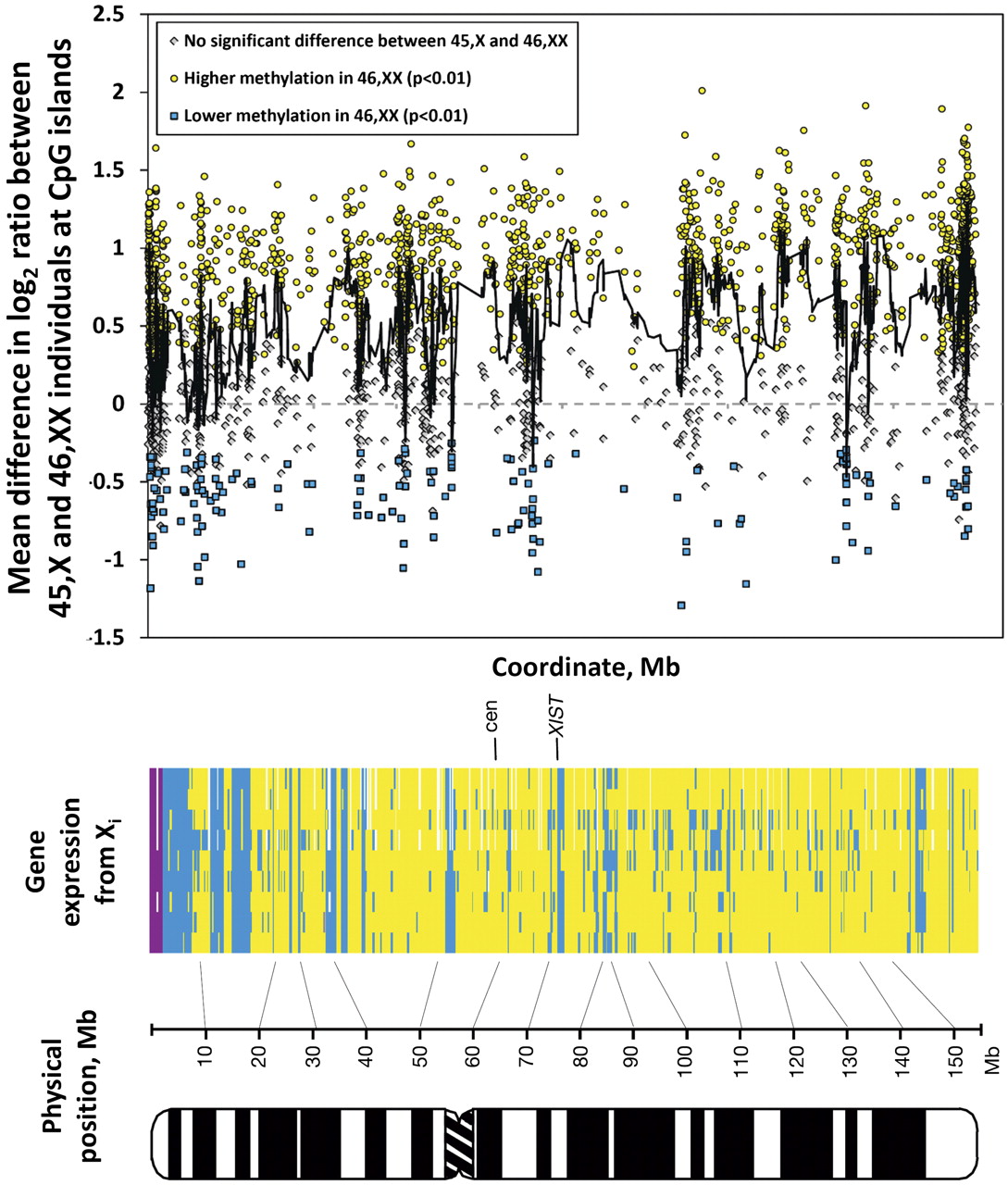 DNA methylation profiles of human active and inactive X chromosomes