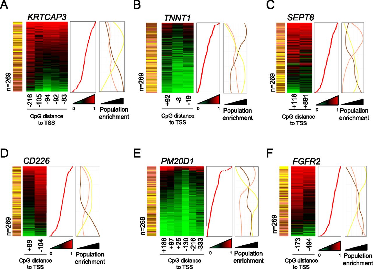 DNA methylation contributes to natural human variation