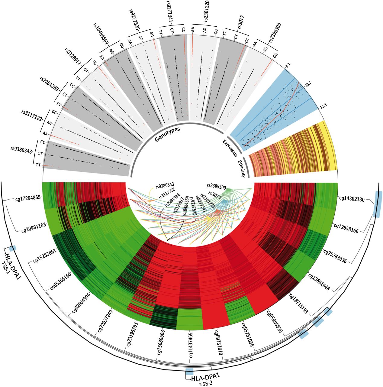 DNA methylation contributes to natural human variation