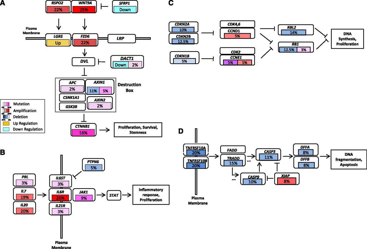 Whole-genome sequencing identifies recurrent mutations in ...