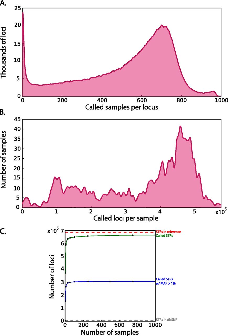 The landscape of human STR variation