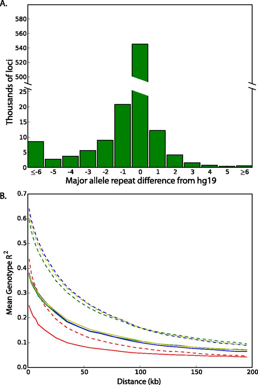 The landscape of human STR variation