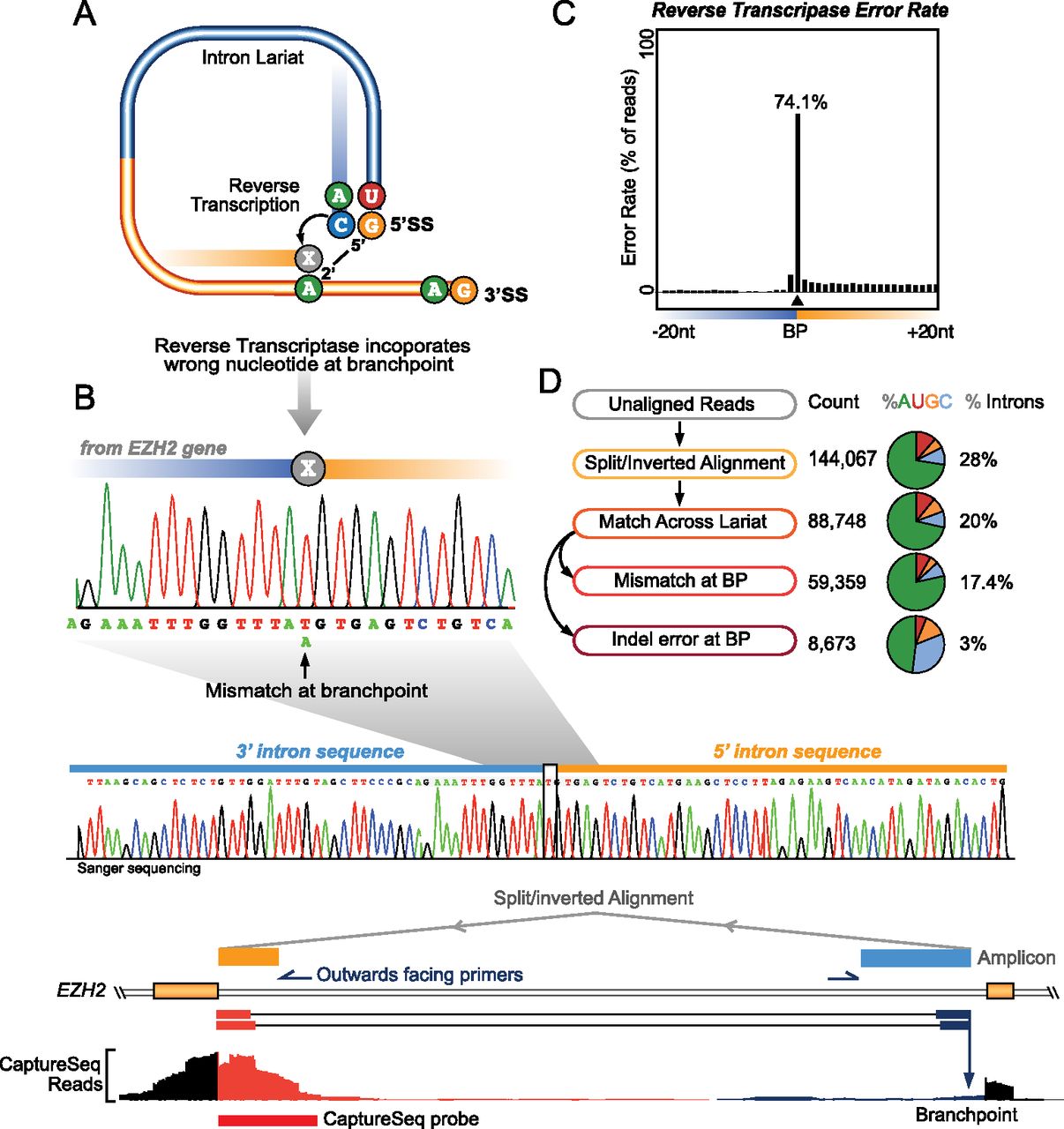 Genome-wide discovery of human splicing branchpoints