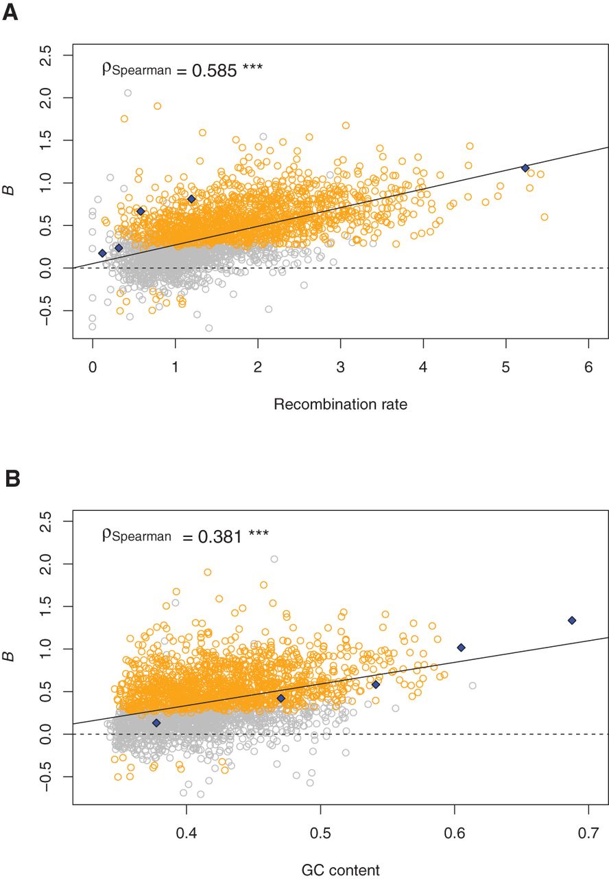 Quantification of GC-biased gene conversion in the human genome