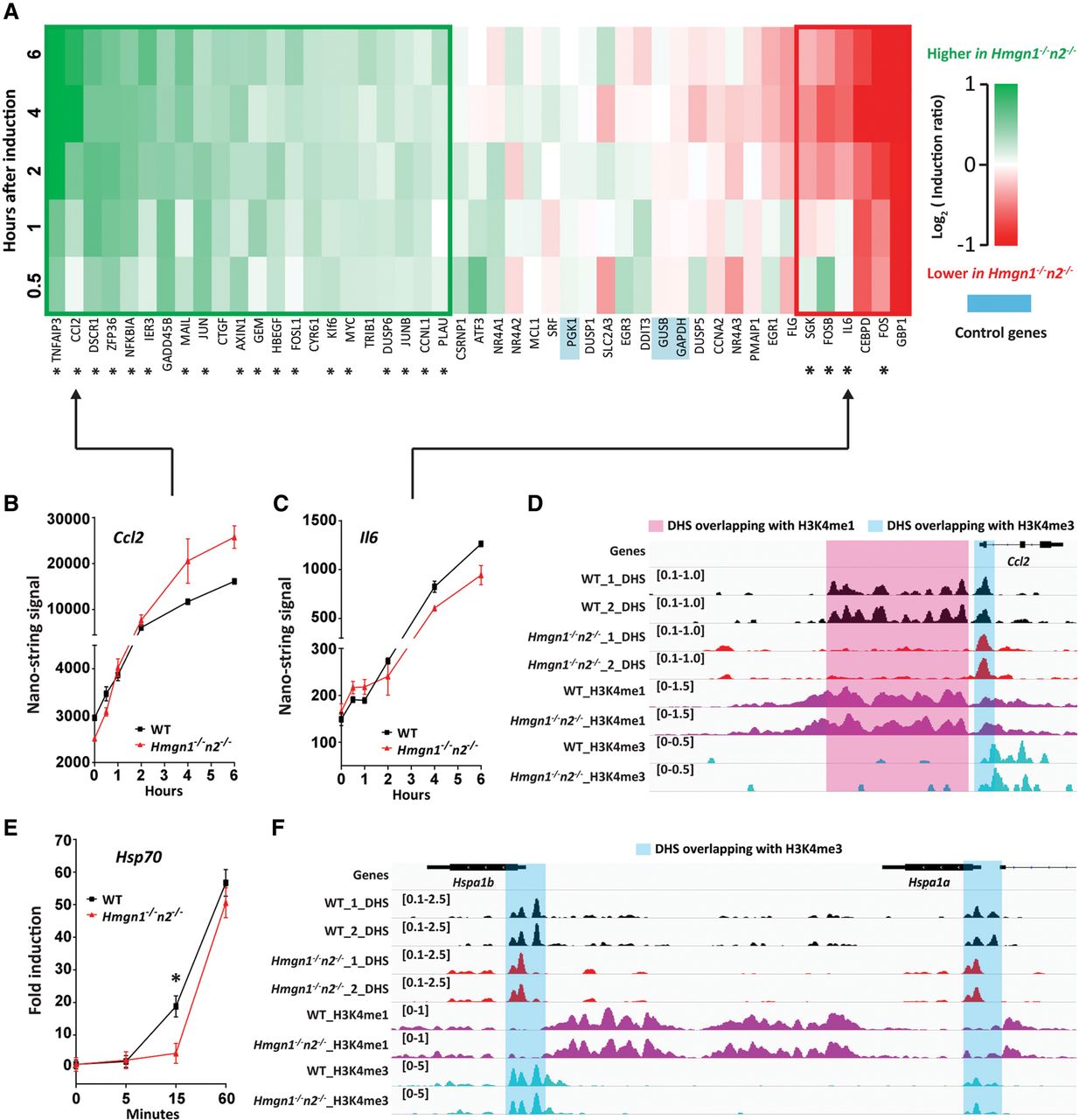 Functional compensation among HMGN variants modulates the DNase I ...