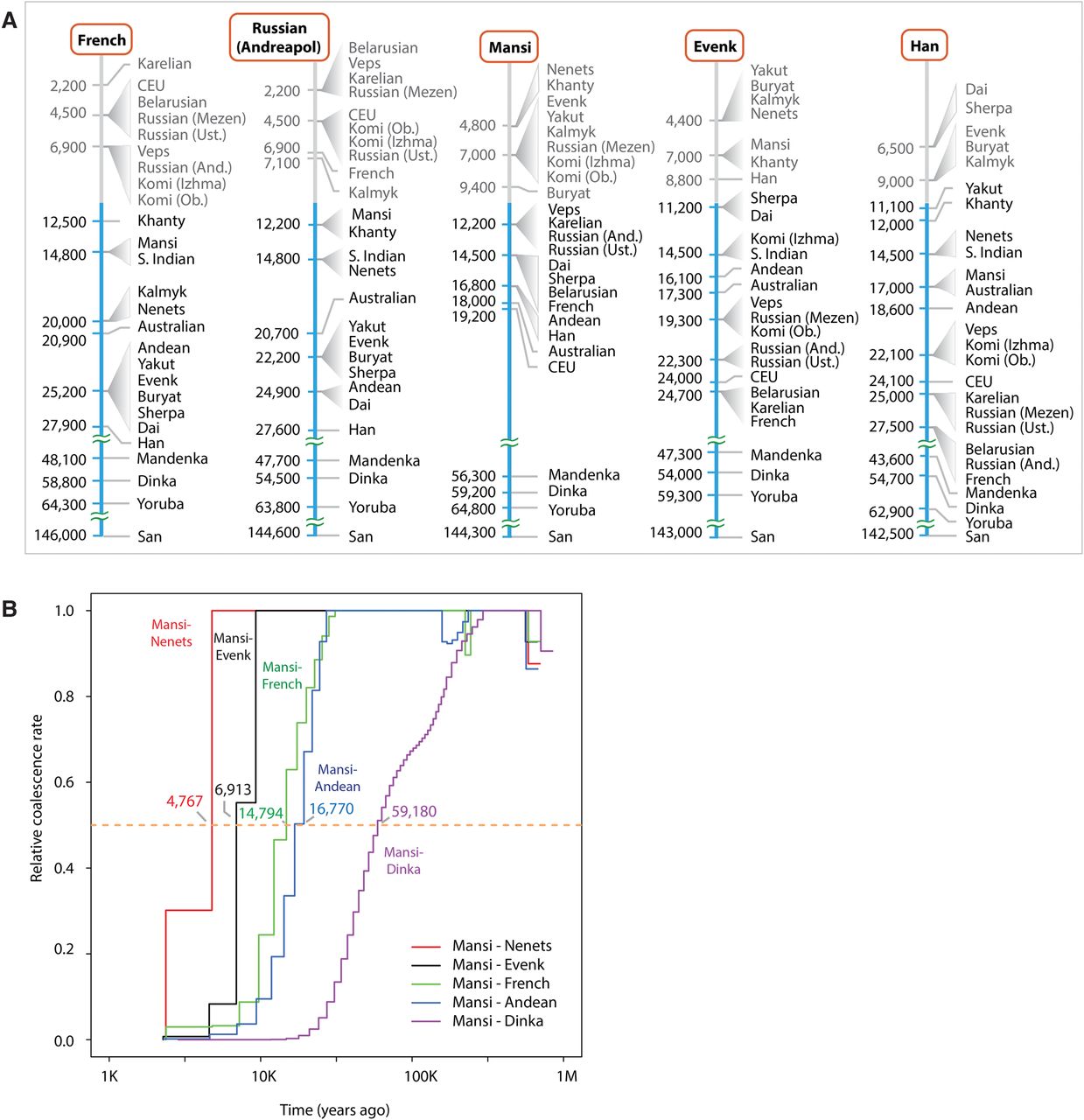 Reconstructing genetic history of Siberian and Northeastern European ...
