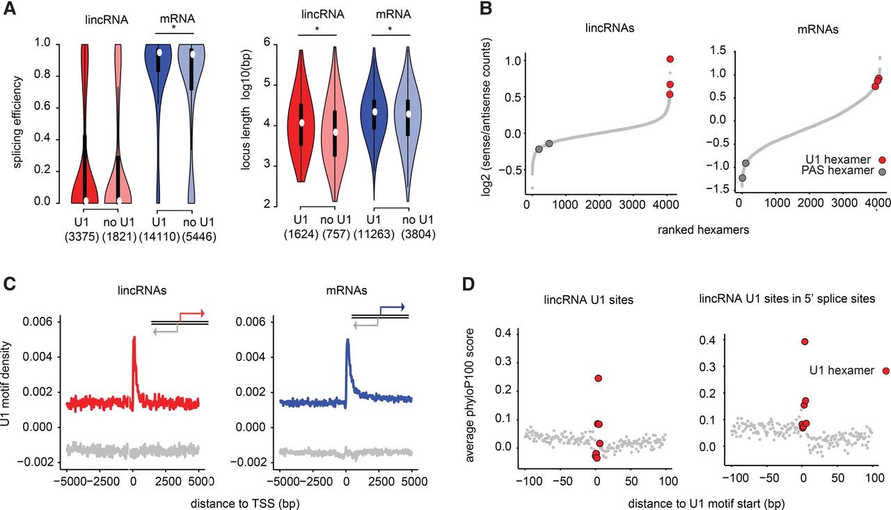 Chromatin environment, transcriptional regulation, and splicing ...