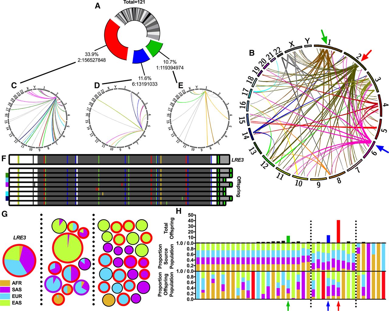 The Mobile Element Locator Tool (MELT): population-scale mobile element ...