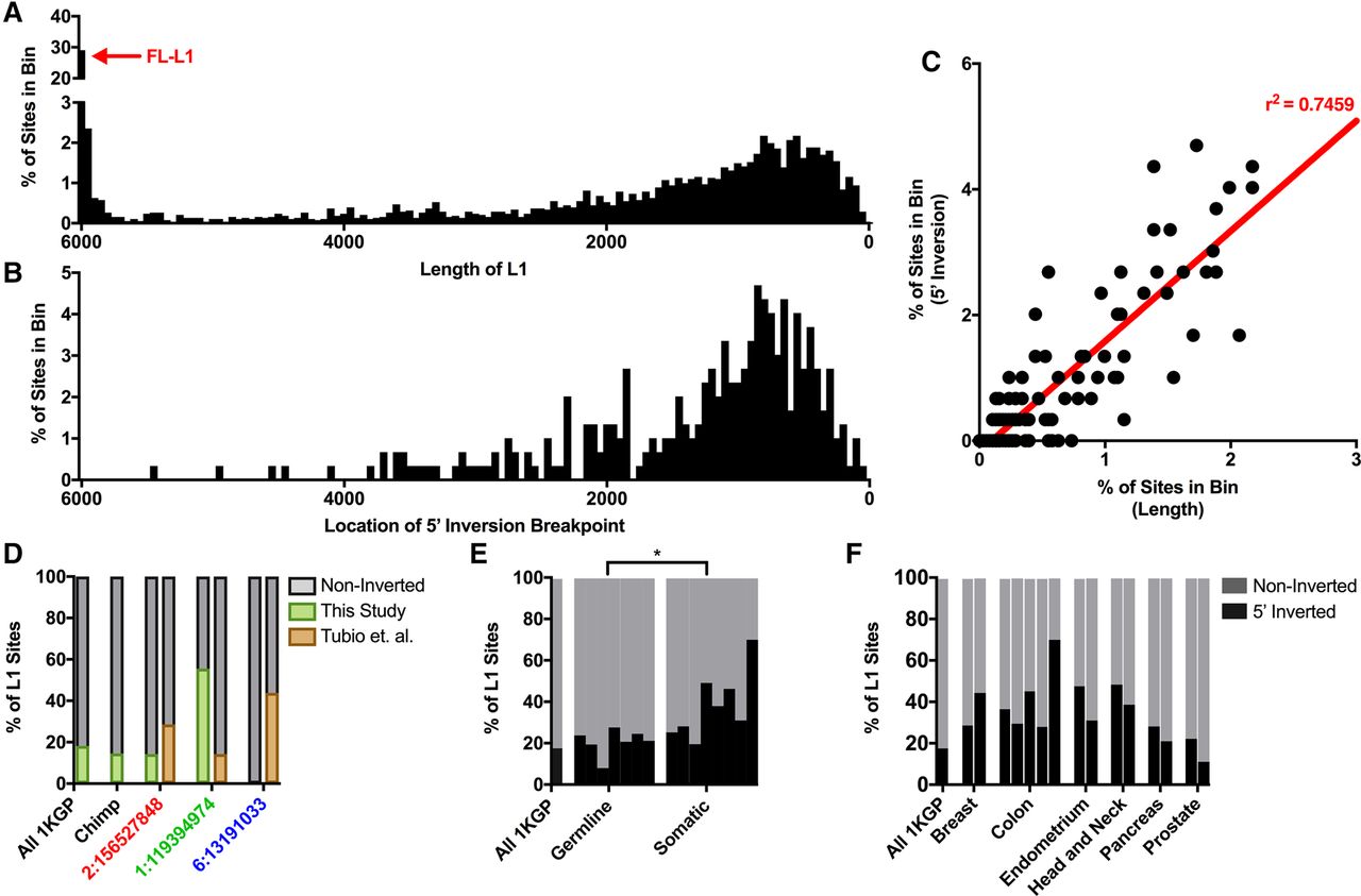 The Mobile Element Locator Tool (MELT): population-scale mobile element ...