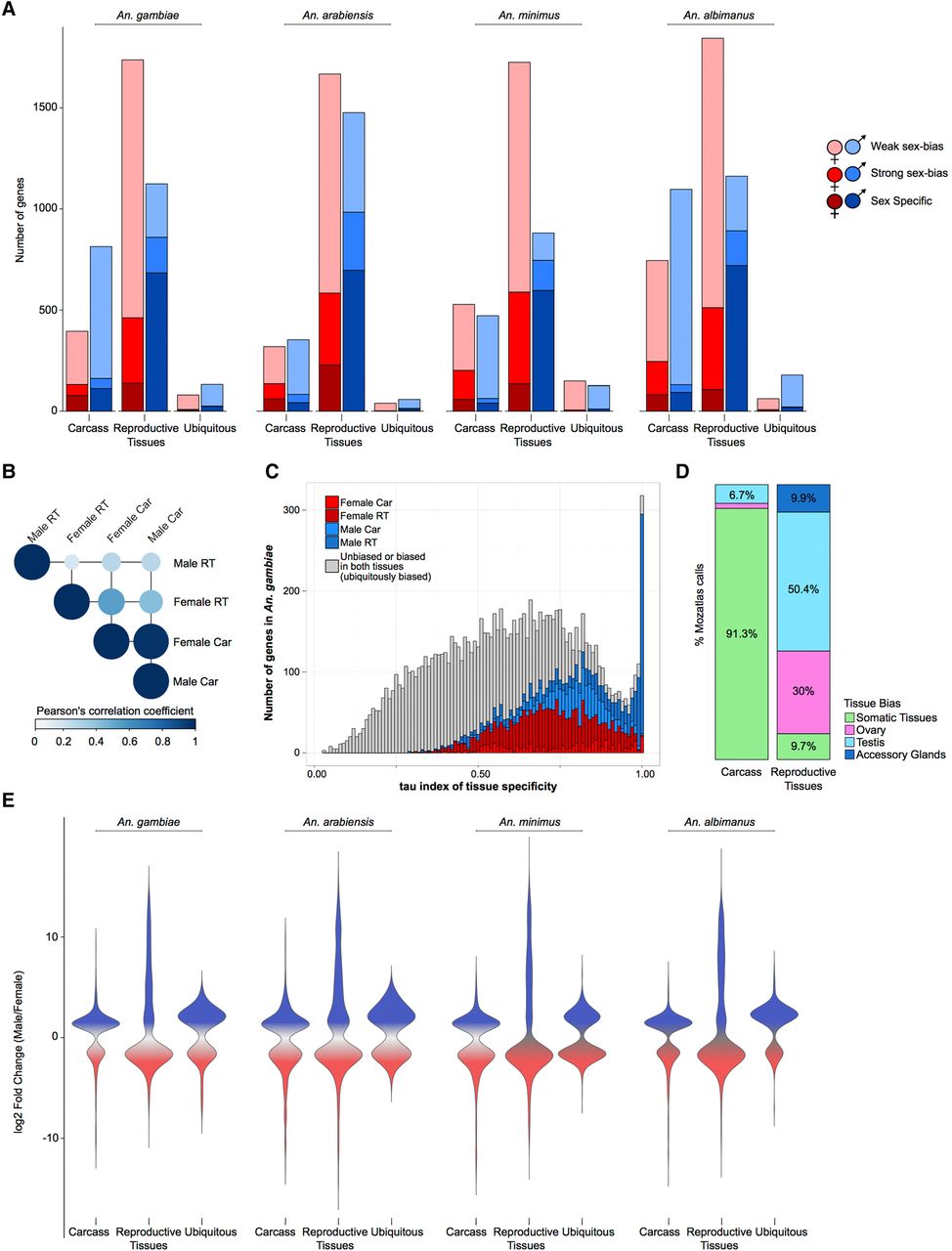 Rapid evolution of female-biased genes among four species of Anopheles ...