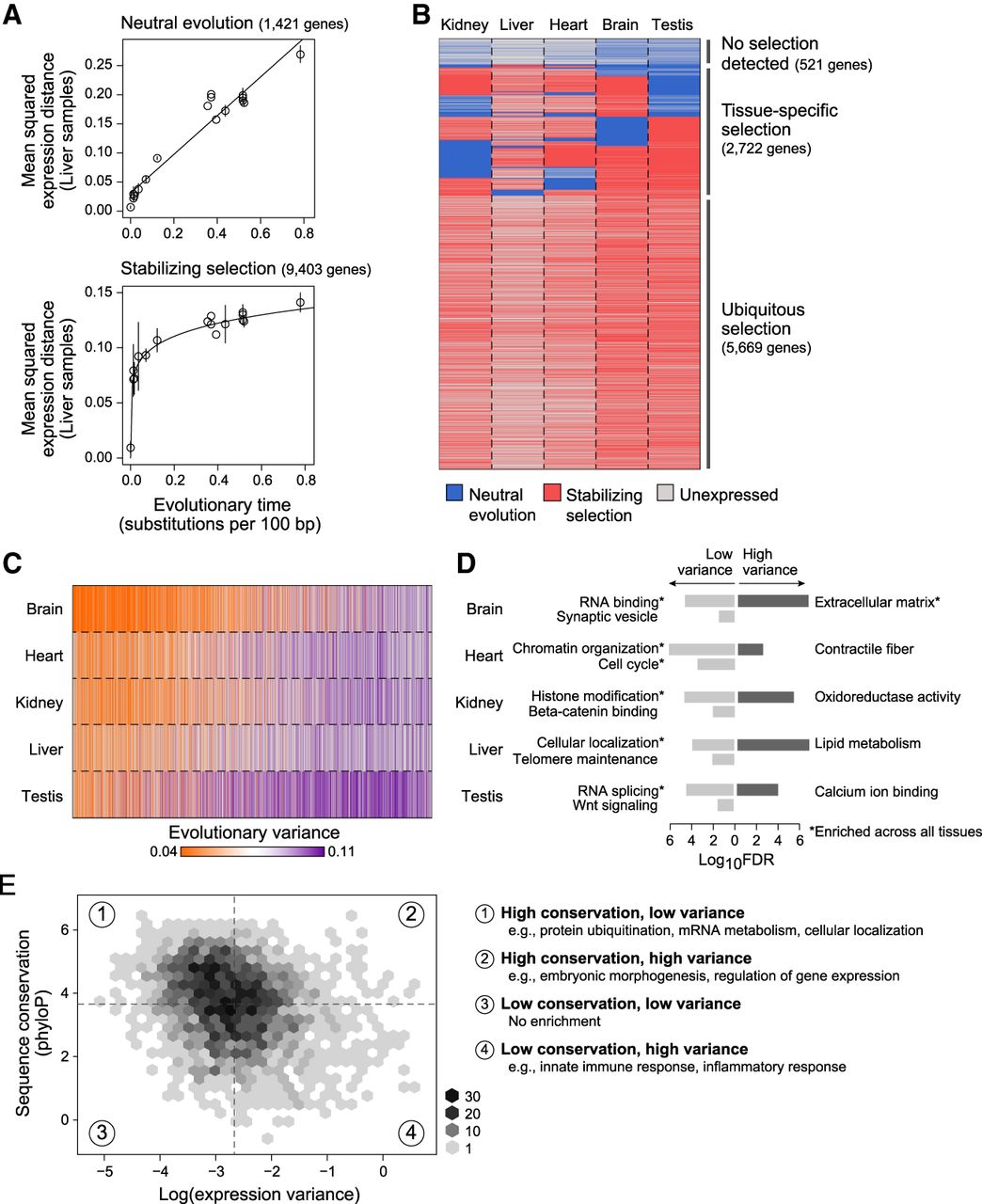 A quantitative framework for characterizing the evolutionary history of ...