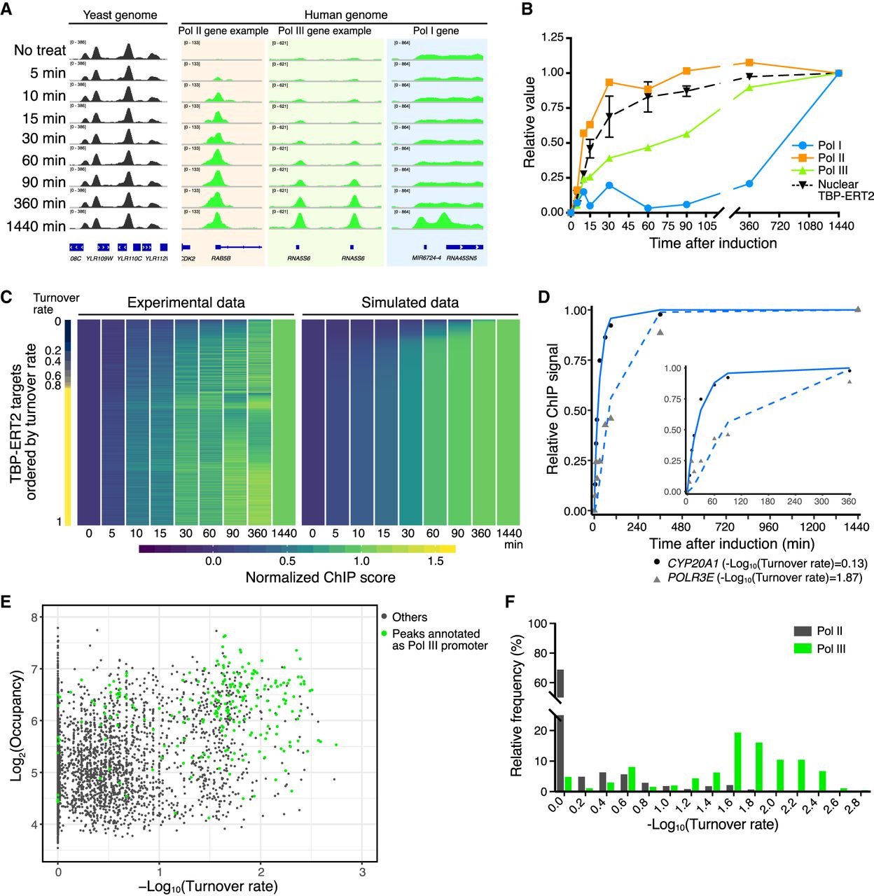 Promoter-specific dynamics of TATA-binding protein association with the ...