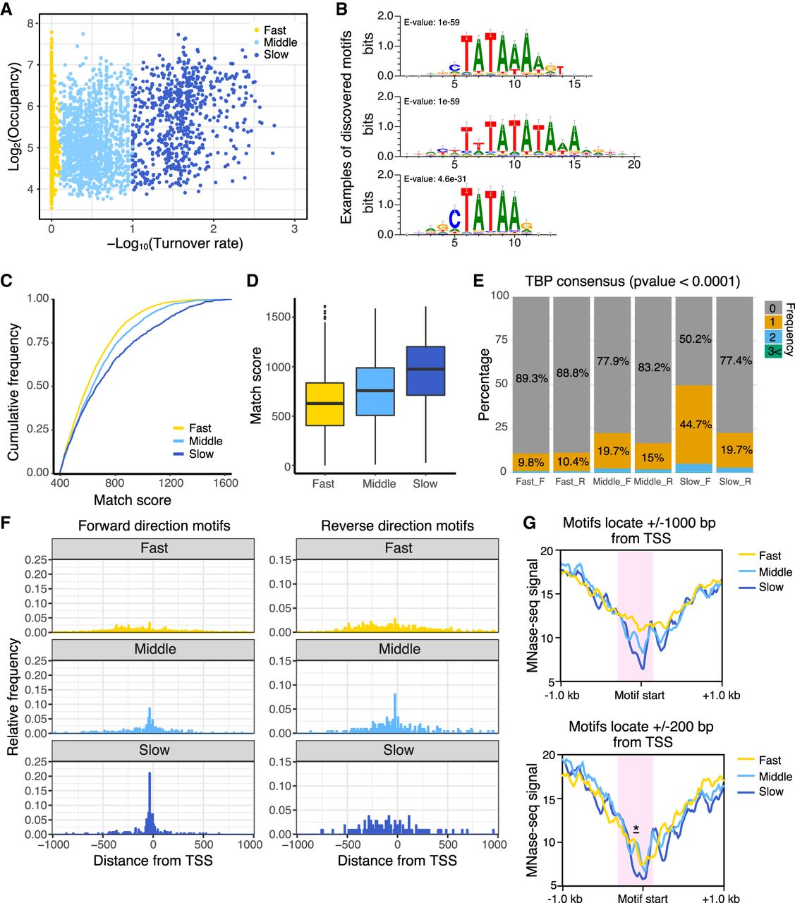 Promoter-specific dynamics of TATA-binding protein association with the ...
