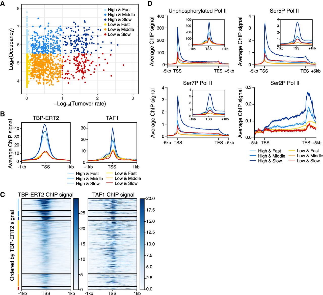 Promoter-specific dynamics of TATA-binding protein association with the ...