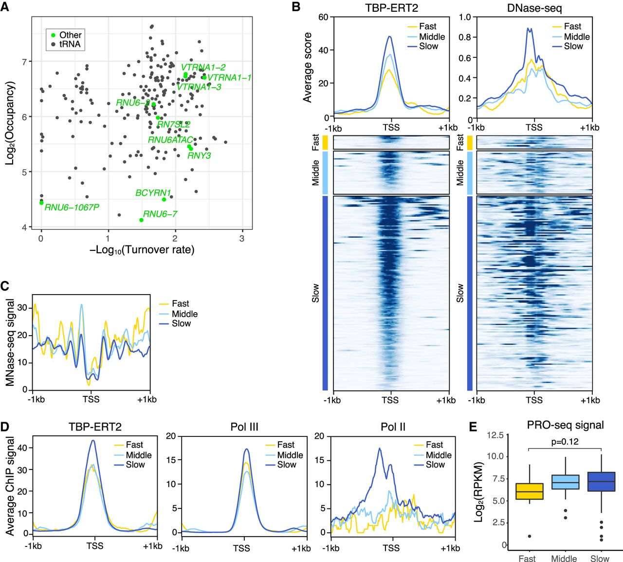 Promoter-specific dynamics of TATA-binding protein association with the ...