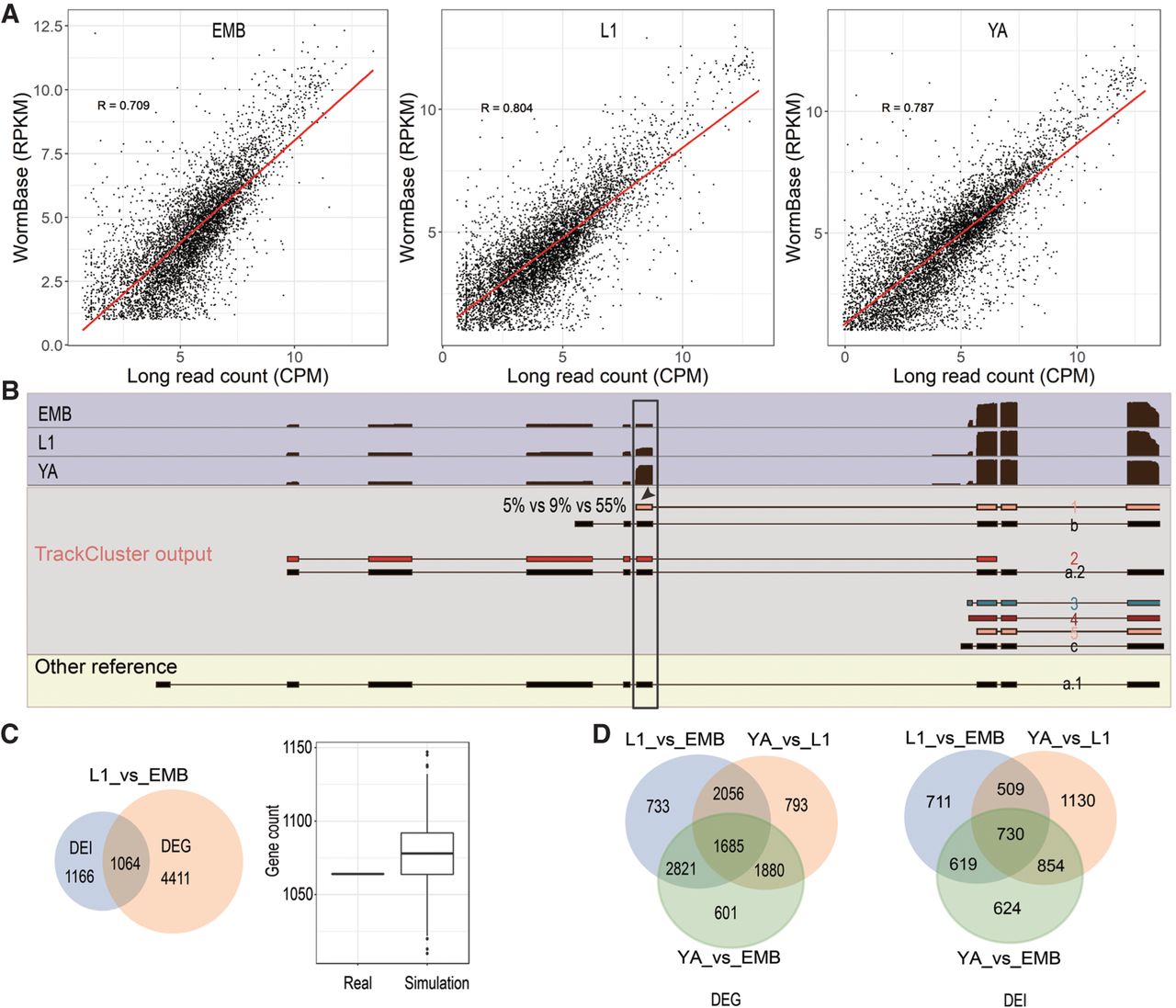 Direct full-length RNA sequencing reveals unexpected transcriptome complexity during ...