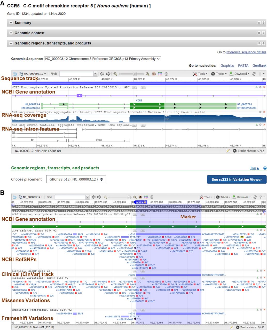 Accessing NCBI data using the NCBI Sequence Viewer and Genome Data ...