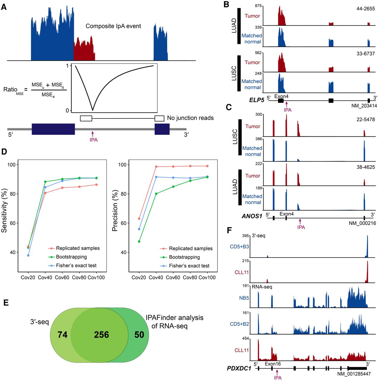 Cancer-associated dynamics and potential regulators of intronic ...