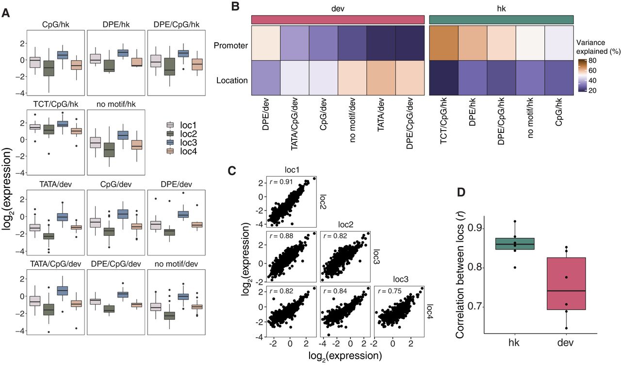 Genomic environments scale the activities of diverse core promoters