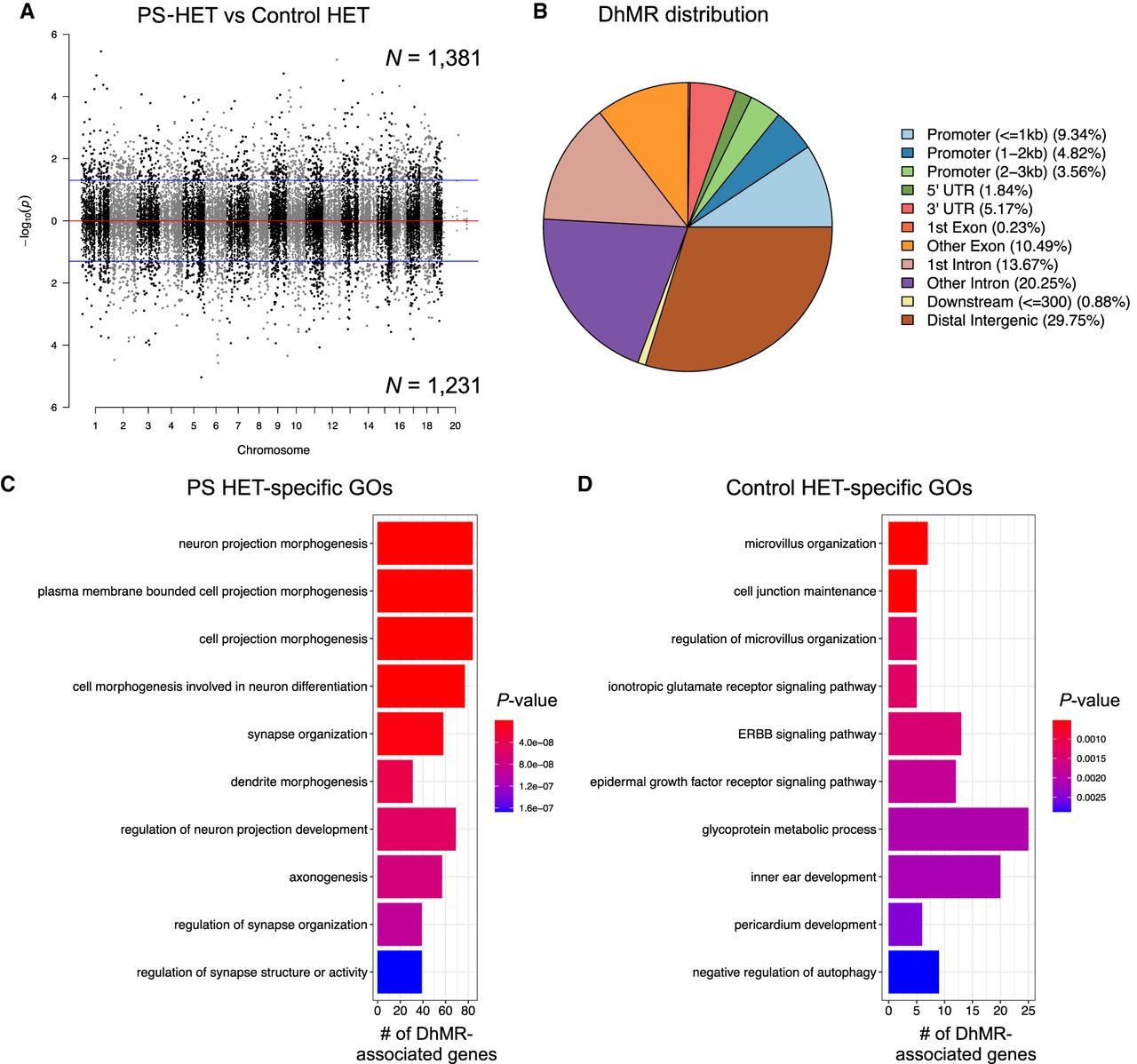 Gene by environment interaction mouse model reveals a functional role ...