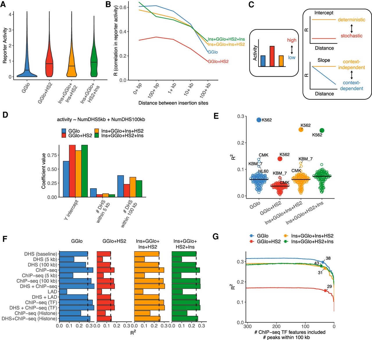 Genomic context sensitivity of insulator function