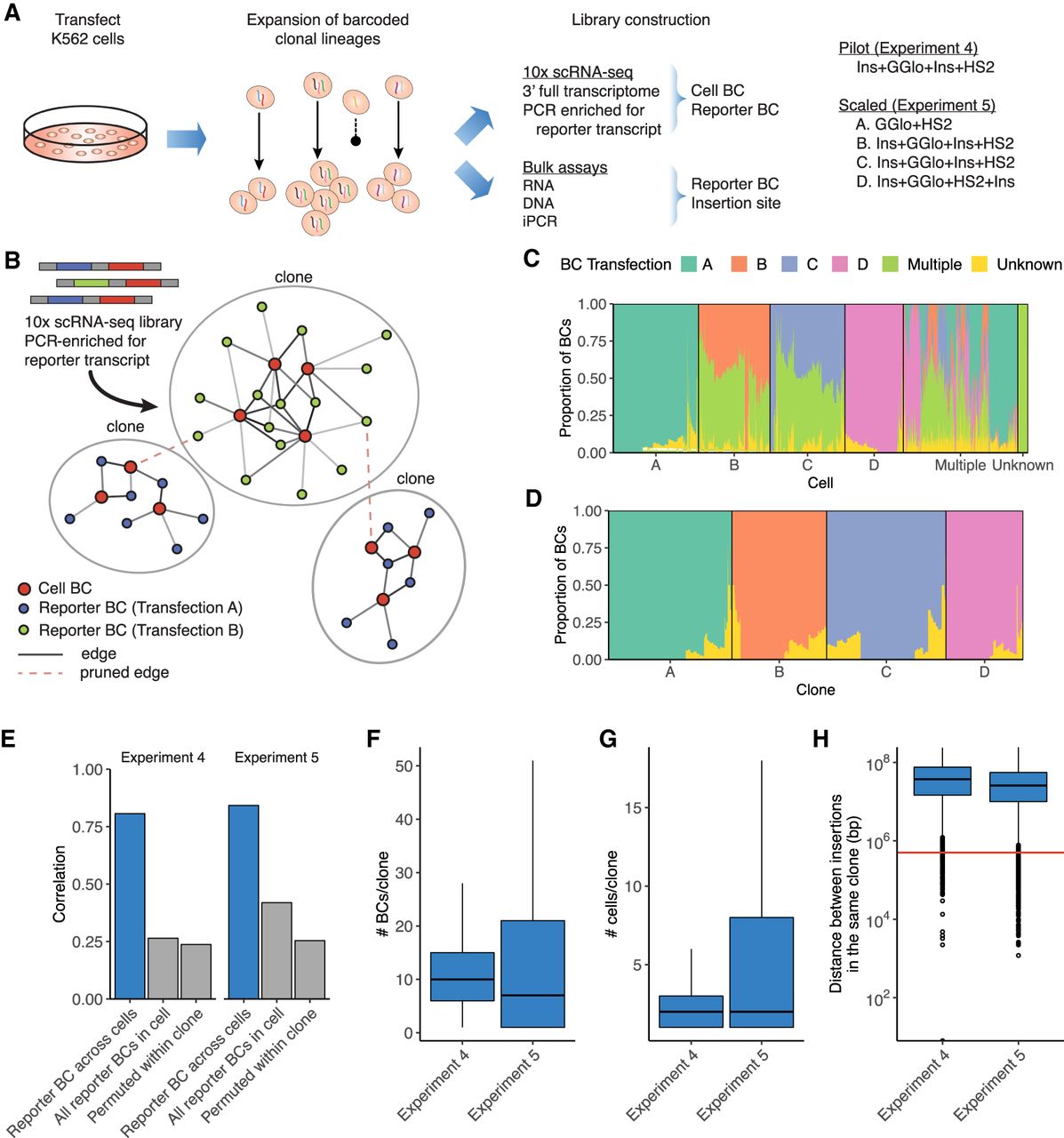 Genomic context sensitivity of insulator function