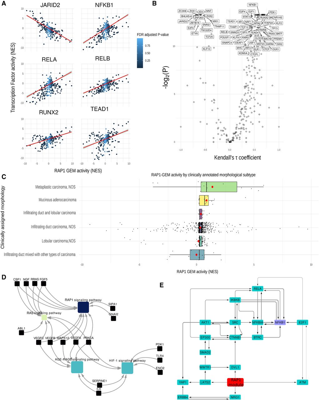 Identification of phenotype-specific networks from paired gene ...