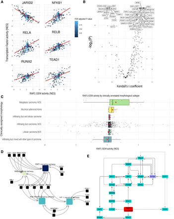 Identification of phenotype-specific networks from paired gene ...