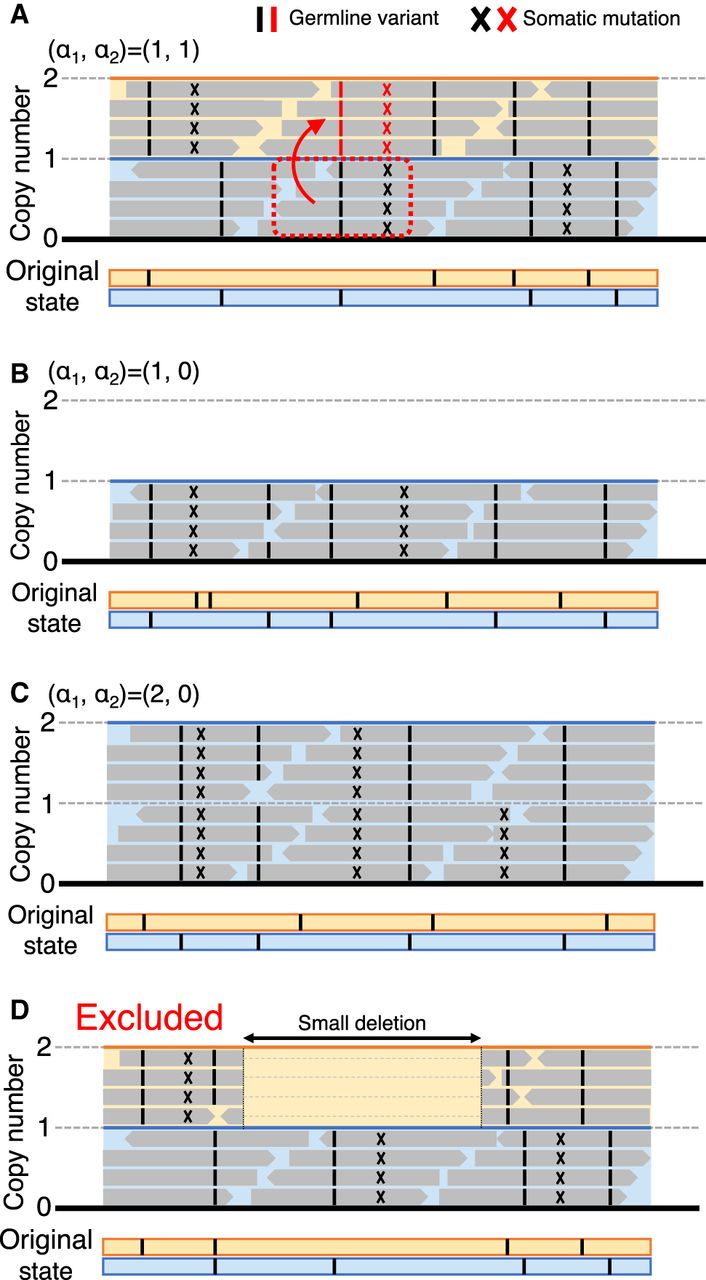 Frequent somatic gene conversion as a mechanism for loss of ...