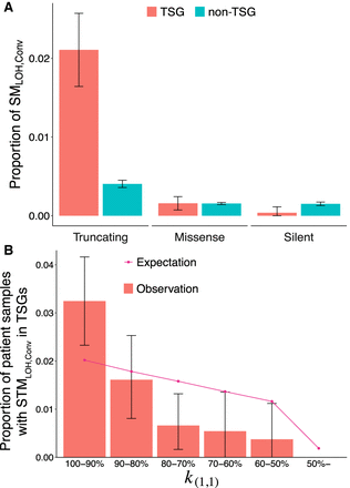 Frequent somatic gene conversion as a mechanism for loss of ...