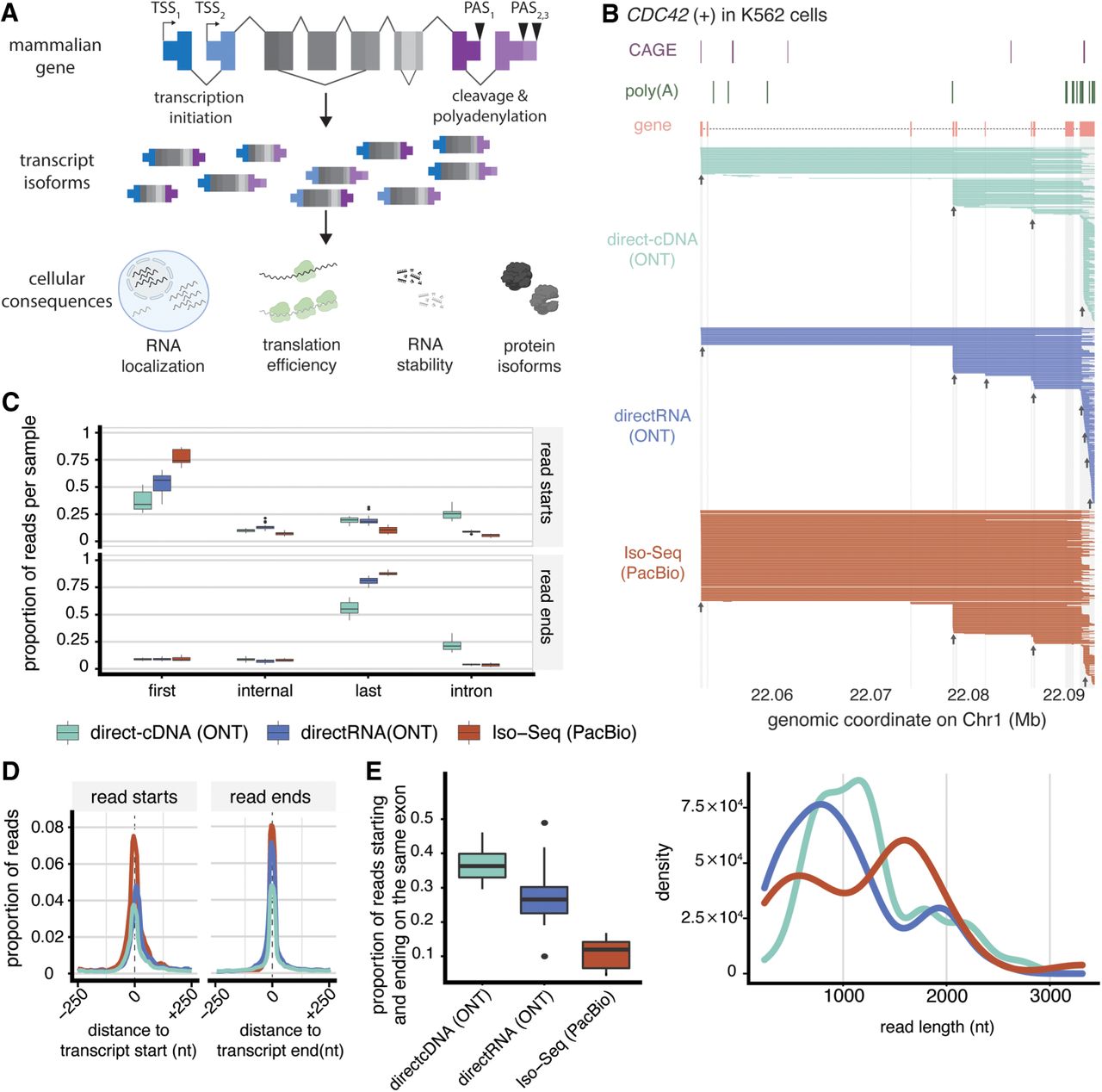 Challenges in identifying mRNA transcript starts and ends from long ...