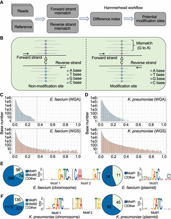 Nanopore strand-specific mismatch enables de novo detection of ...