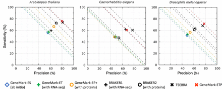 GeneMark-ETP significantly improves the accuracy of automatic annotation of large eukaryotic genomes