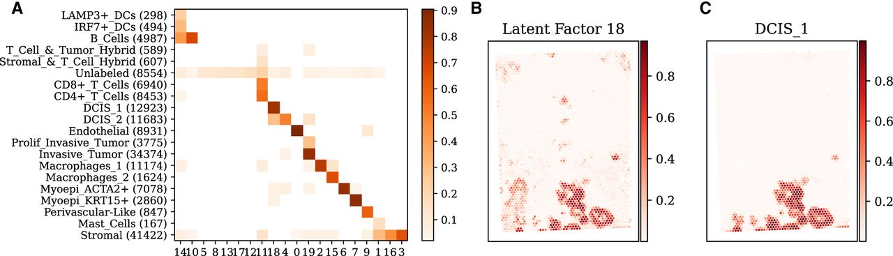 Joint imputation and deconvolution of gene expression across spatial transcriptomics platforms