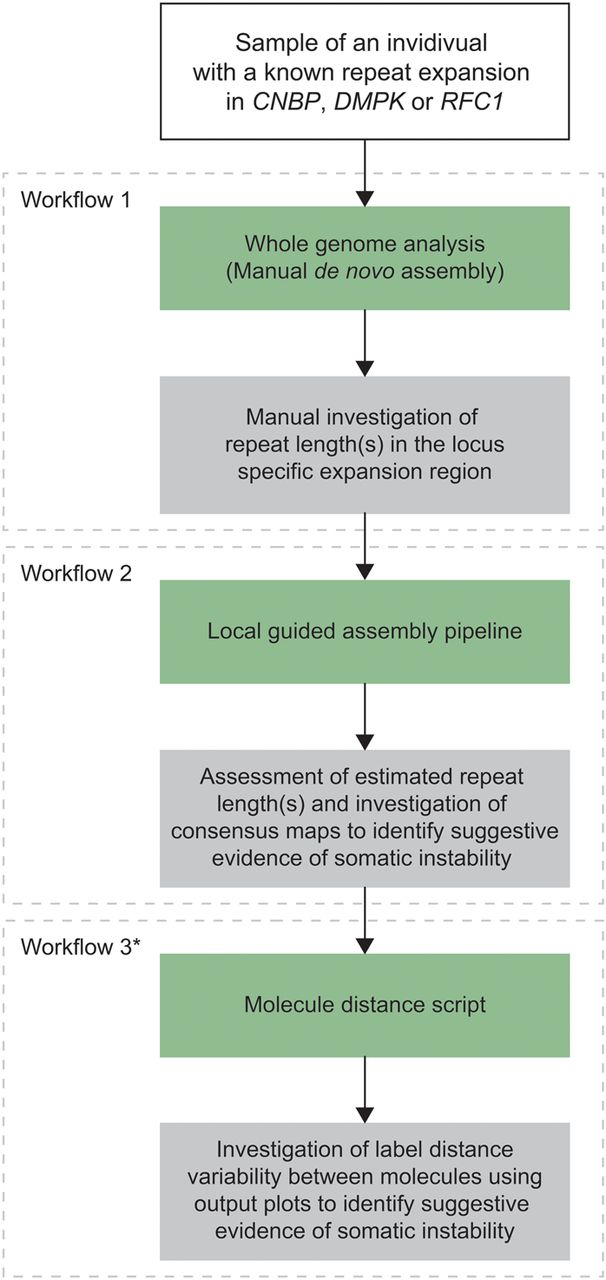 Optical genome mapping enables accurate testing of large repeat expansions