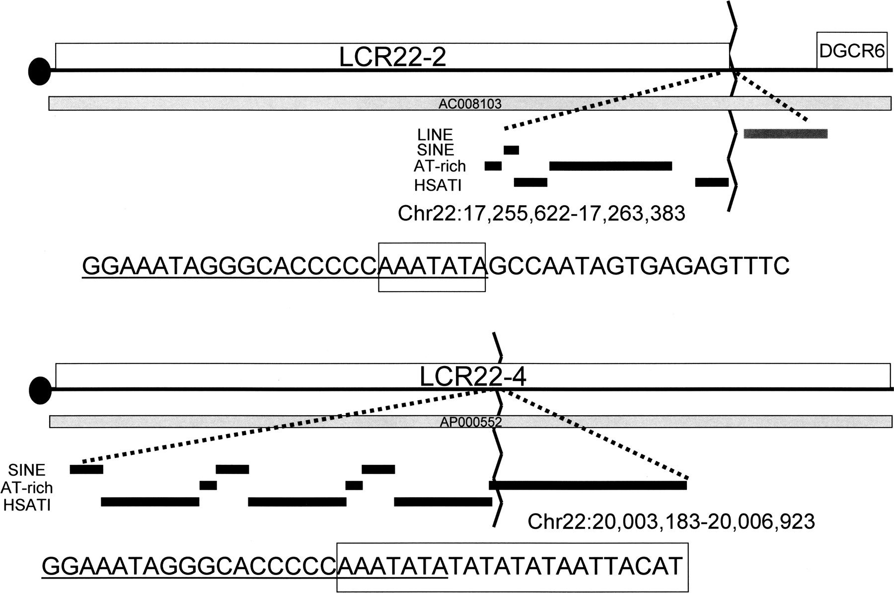 AT-rich repeats associated with chromosome 22q11.2 rearrangement ...