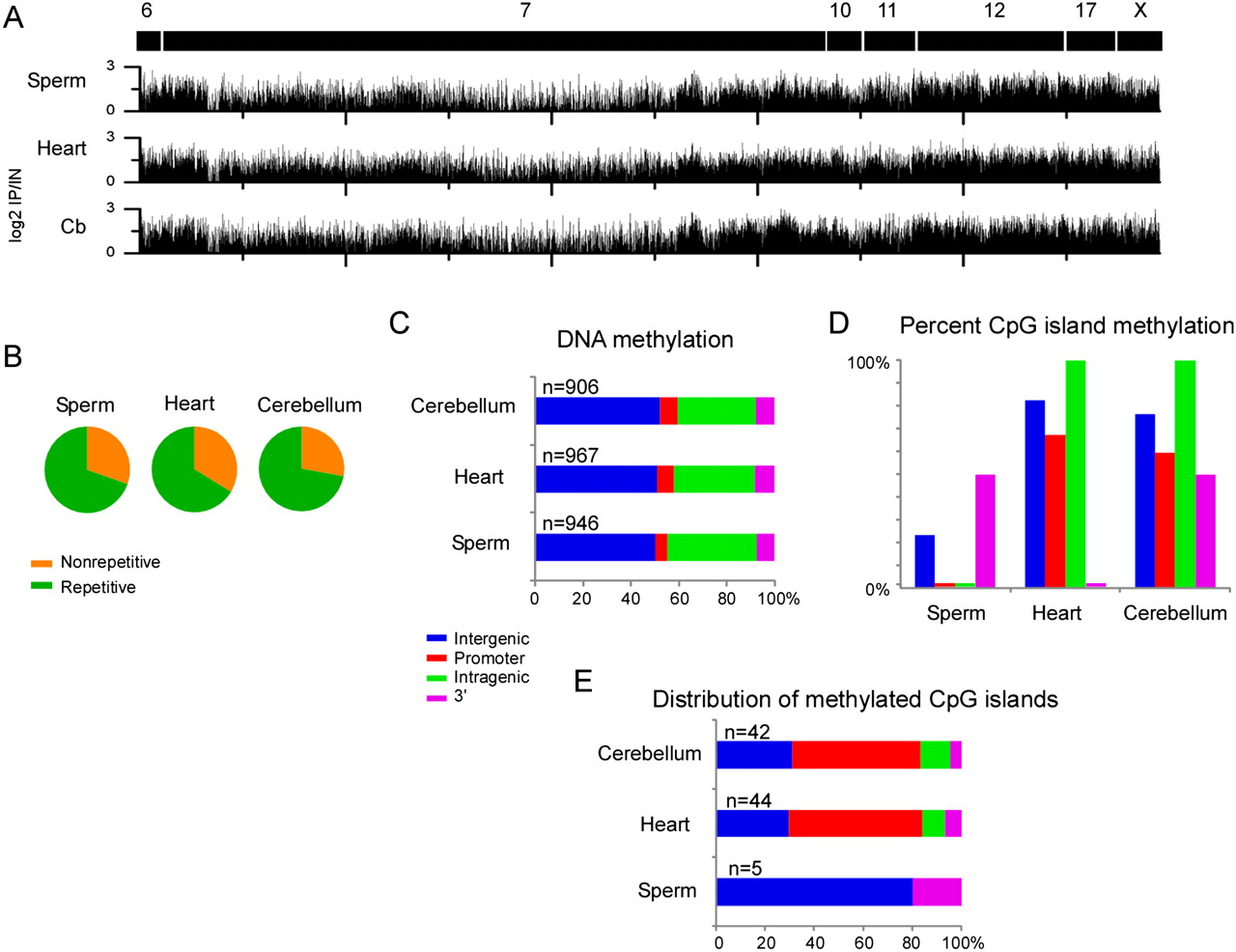 Epigenetic profiling at mouse imprinted gene clusters reveals novel ...
