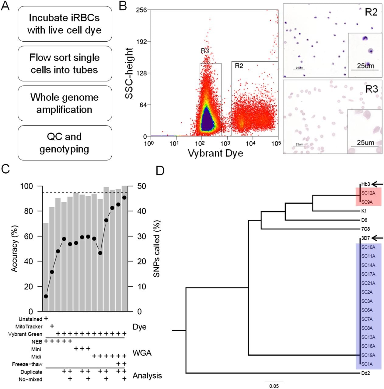 Single-cell genomics for dissection of complex malaria infections
